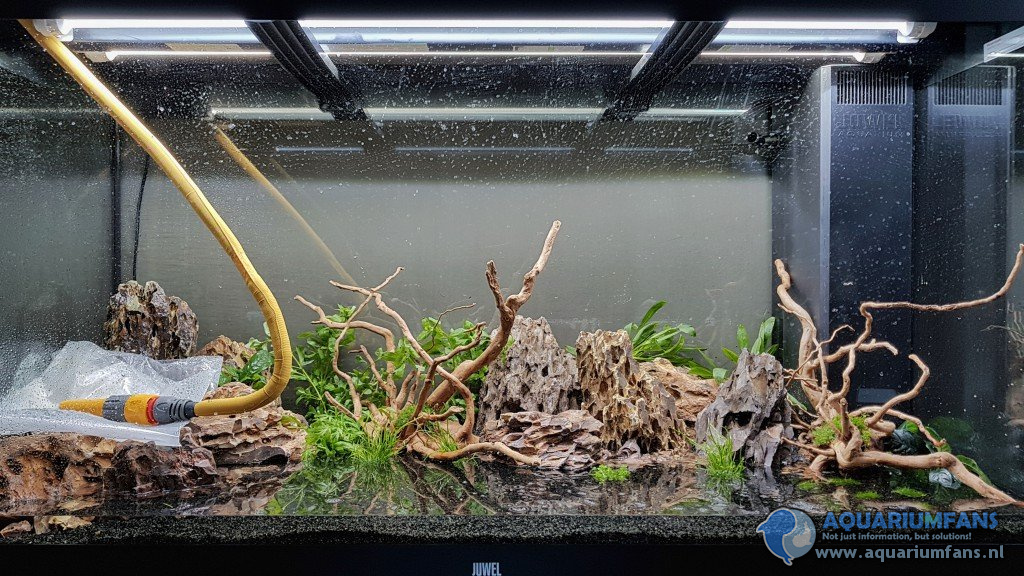 Juwel Rio LED 350 - Aquariumfans